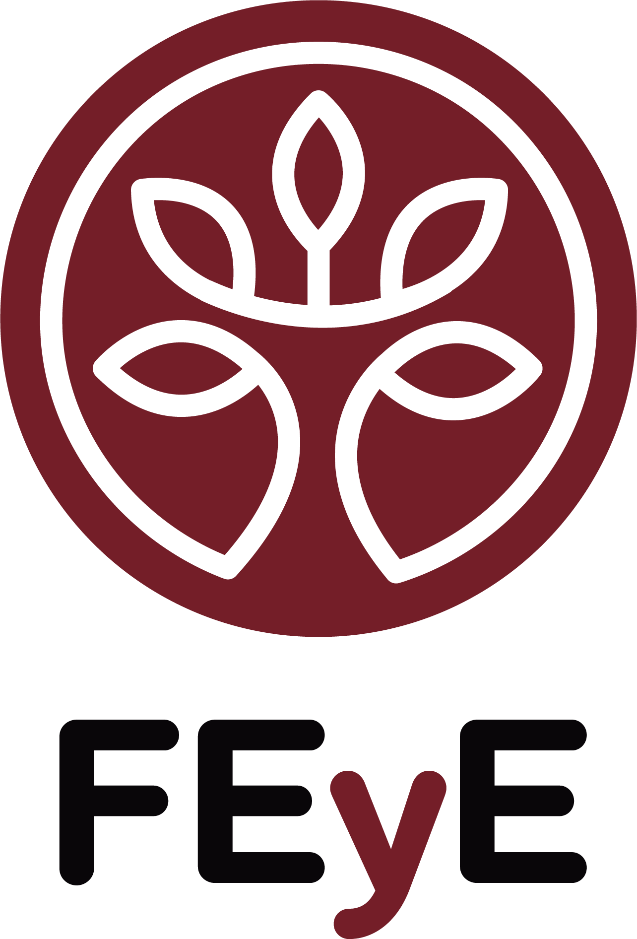 Patronato de la FEyE | Liderazgo y Compromiso